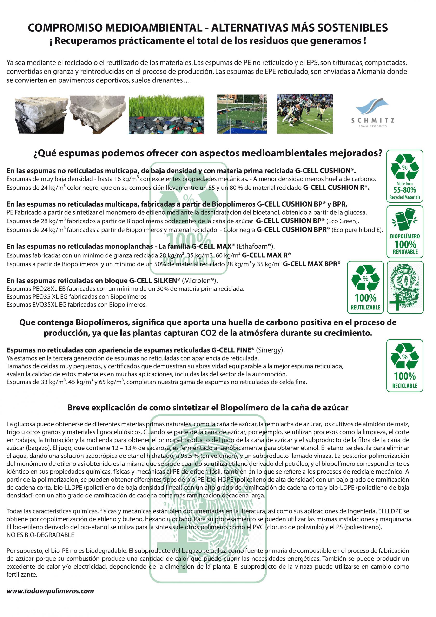ESPUMAS ECOLÓGICAS, 100% RECICLABLES Y DE BASE BIOLÓGICA - Plaesa